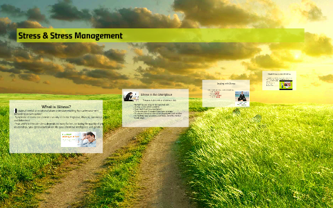 Stress & Stress Management by Andrew Collison on Prezi