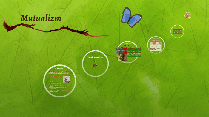 Mutualizm by kamil krzysztof on Prezi