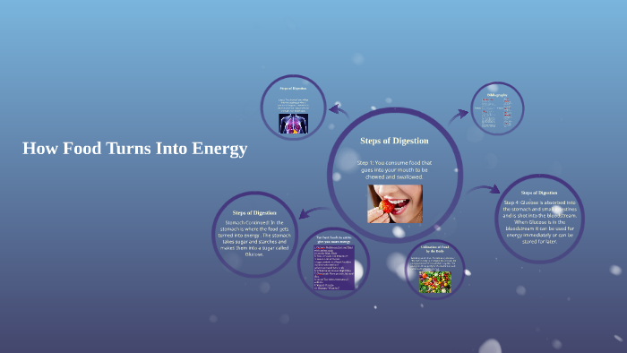 How Food Turns Into Energy by will leskovar on Prezi