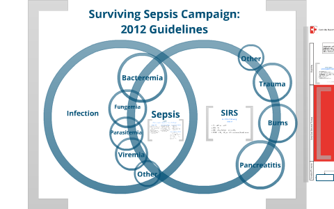 Surviving Sepsis Campaign 2012 Guideline Algorithm by Clinton Pong on Prezi