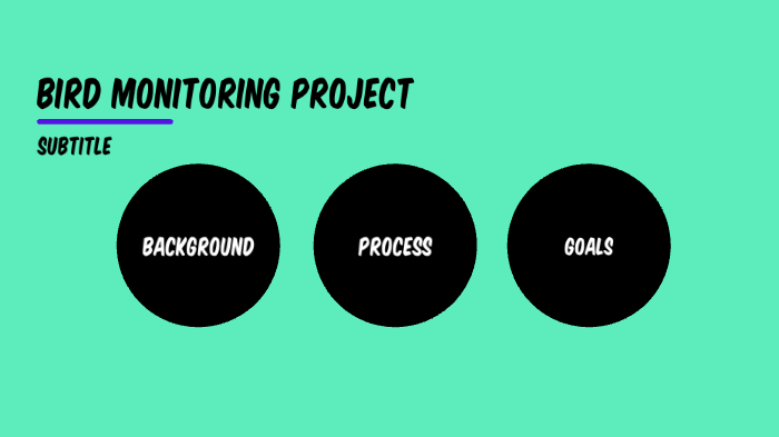 Bird Monitoring Project by Benjamin Williams on Prezi