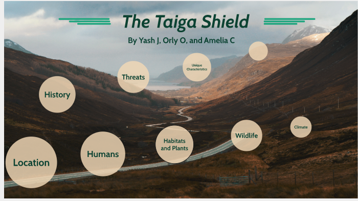 Taiga Shield by Orly Ogilvy on Prezi