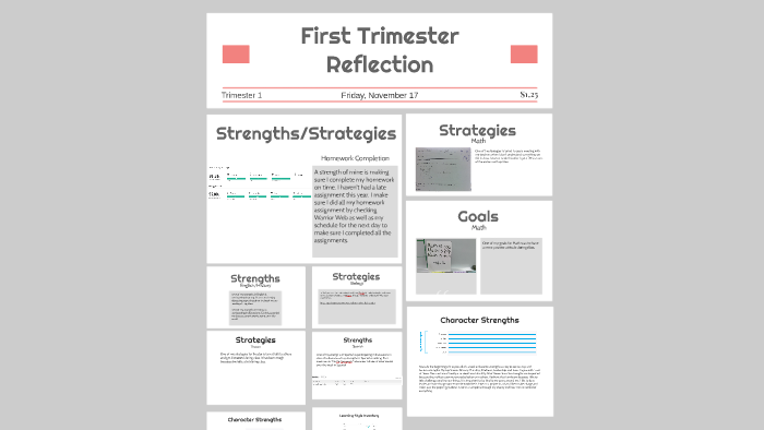 First Trimester Reflection by Agha Haider on Prezi