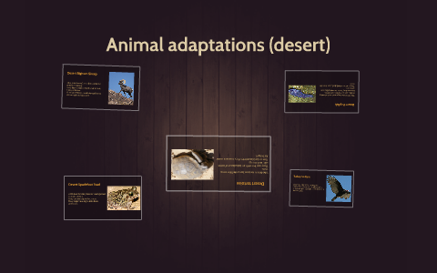 Animal adaptations (desert) by Kim Schreier on Prezi
