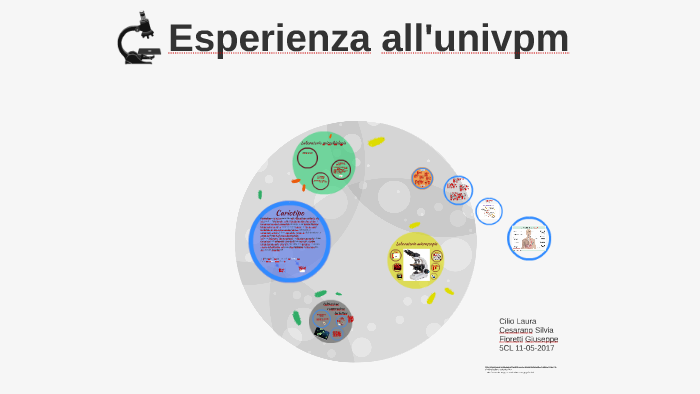 Esperienza all'univpm by laura cilio on Prezi