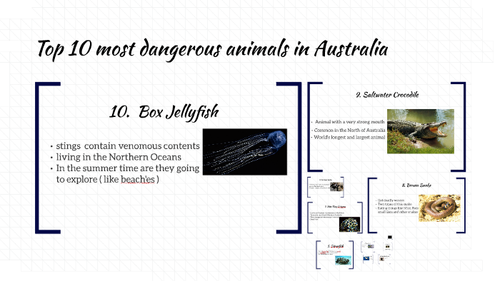 Top 10 most dangerous animals in Australia by Hans Kaste on Prezi