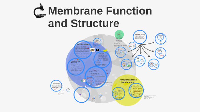 Cell Membane and Structure by N Bartley on Prezi
