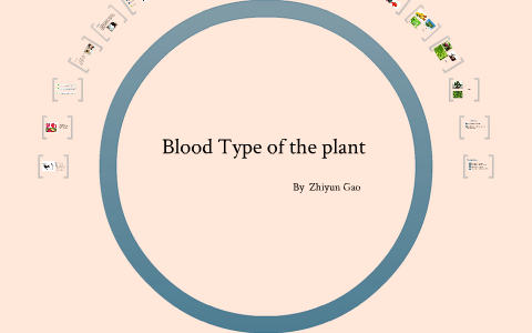 Blood Type of the plant by gao yun on Prezi