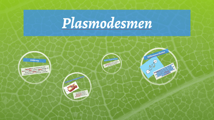 Plasmodesmen by Björn Gerbes on Prezi