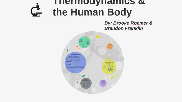 Thermodynamics and The Human Body by Brooke Roemer on Prezi