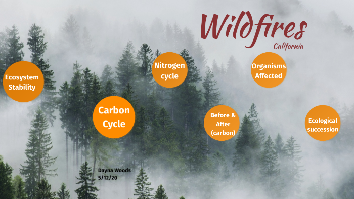 Ecosystem stability project by Day Woods on Prezi