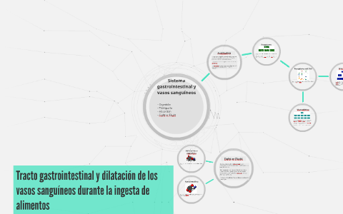 Tracto gastrointestinal y dilatación de los vasos sanguineos by ...