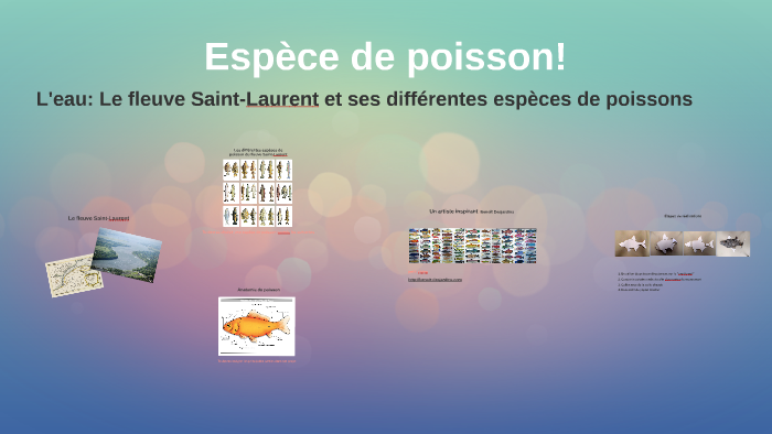 Les différentes espèces de poisson du fleuve Saint-Laurent by Anne ...