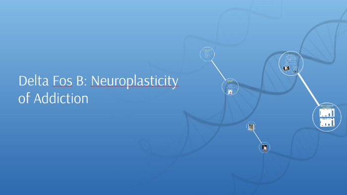 Delta Fos B: Neuroplasticity of addiction by Kristian Ponder on Prezi