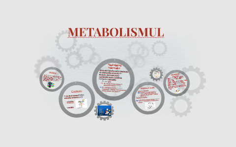 METABOLISMUL by Vacariu Veronica on Prezi