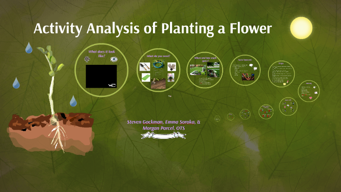 Activity Analysis of Planting a Flower by on Prezi