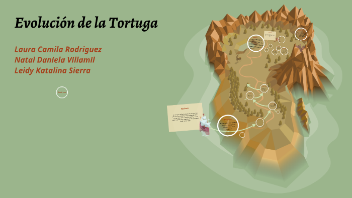 Evolución de la Tortuga by katalina sierra poveda on Prezi