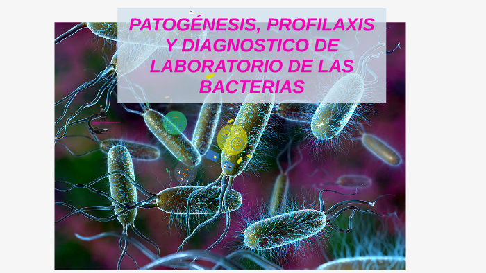 patogenesis by raul rodriguez