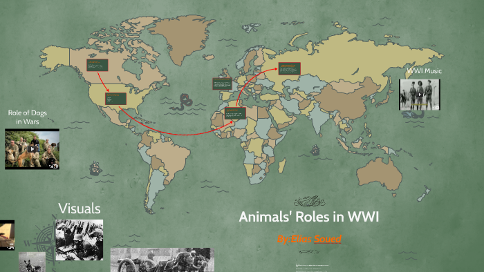 Animal's roles in WWI by Elias Soued on Prezi