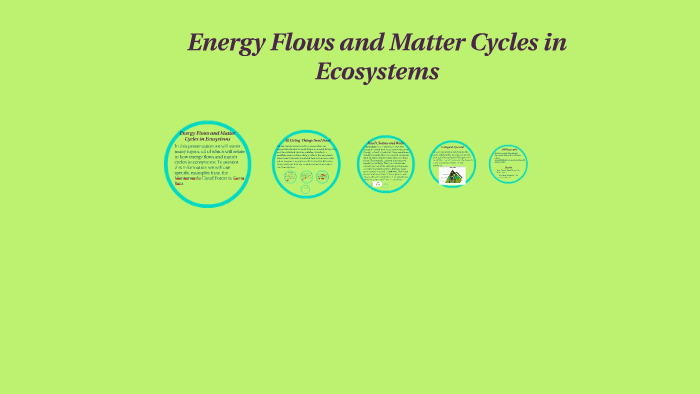 Energy Flows and Matter Cycles in Ecosystems, Chapter 2 by Sophia Young ...