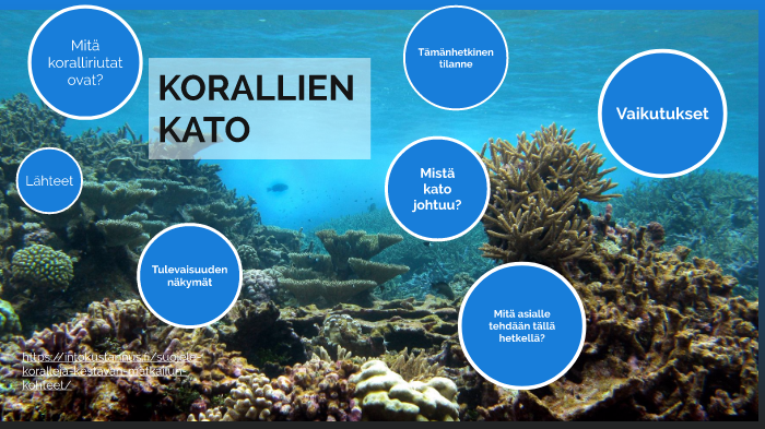 KORALLI by markus meri on Prezi