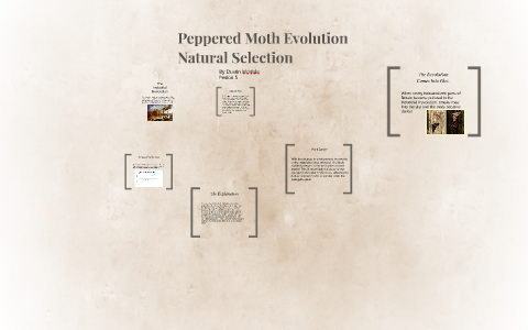Peppered Moth Evolution by Dustin McHale on Prezi