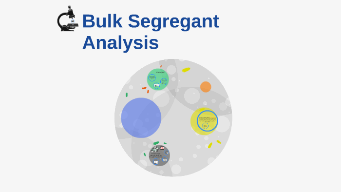 Bulked Segregant Analysis by on Prezi