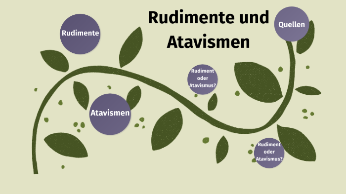 Rudimente und Atavismen by Sebastian Scheiba on Prezi