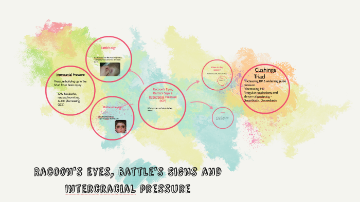 Racoon's Eyes and Battle's Signs by Lisa Comnick