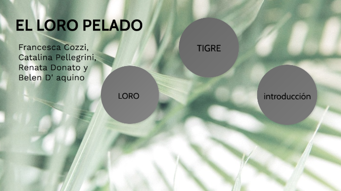 EL LORO PELADO by franchu franchu16 on Prezi