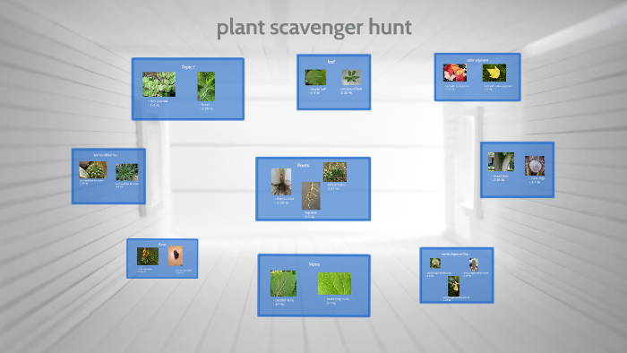 plant scavenger hunt by likzy limon on Prezi
