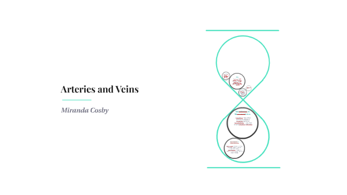 Arteries and Veins by Miranda Cosby on Prezi
