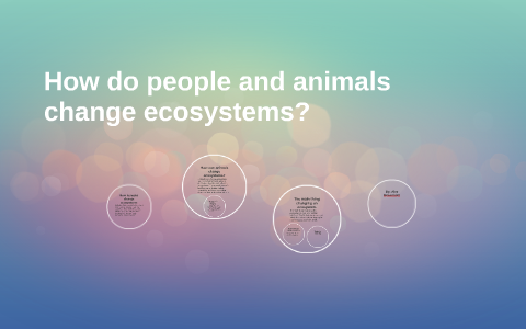 How do people and animals change ecosystems? by Alex Rosenblatt on Prezi