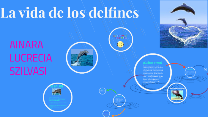 La vida de los delfines by Ainara Lucrecia Szilvasi on Prezi