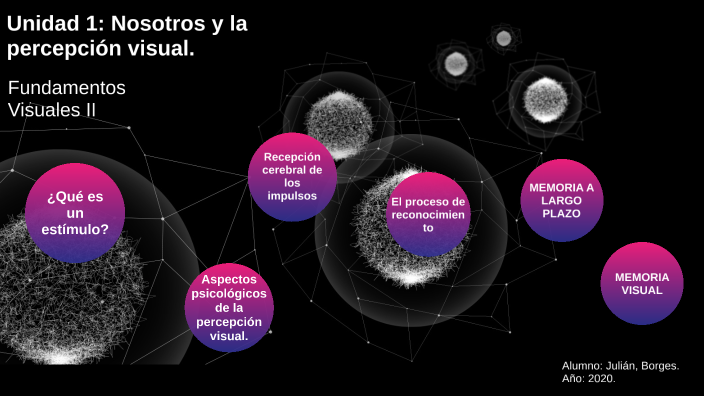 el proceso de la percepción visual by julián borges on Prezi