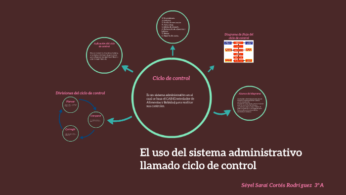 Ciclo de control by Seyel Cortés