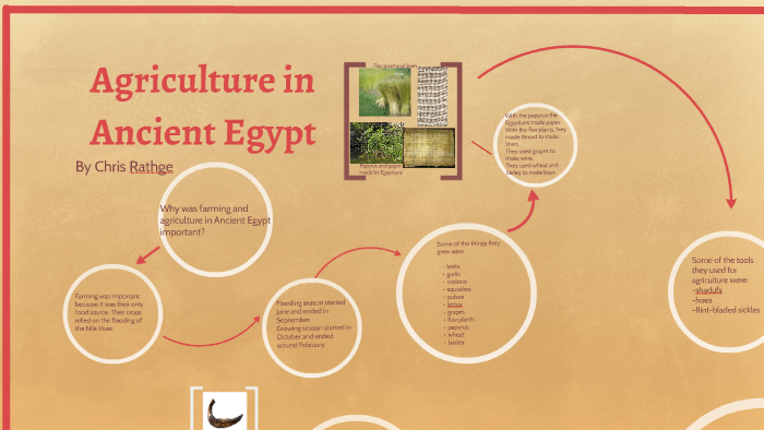 Agriculture in Ancient Egypt by Mr. Cdog on Prezi