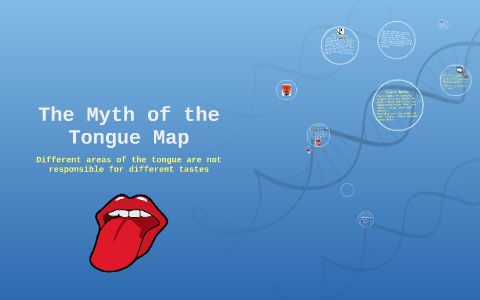 The Myth of the Tongue Map by Jeanette Kolar on Prezi