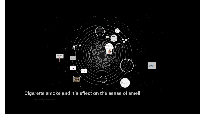 Cigarette smoke and it´s effect on the senses smell. by Sofia Gomez ...
