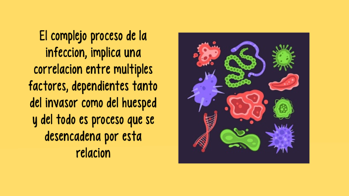BIOLOGIA DE LA INFECCION by Darinka Marquez on Prezi