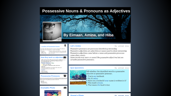Possesive Nouns & Pronouns as Adjectives by Eimaan Ahmad on Prezi
