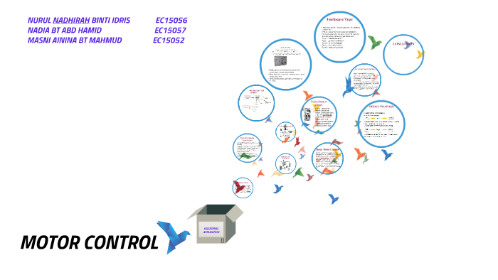motor control by purple lavender on Prezi