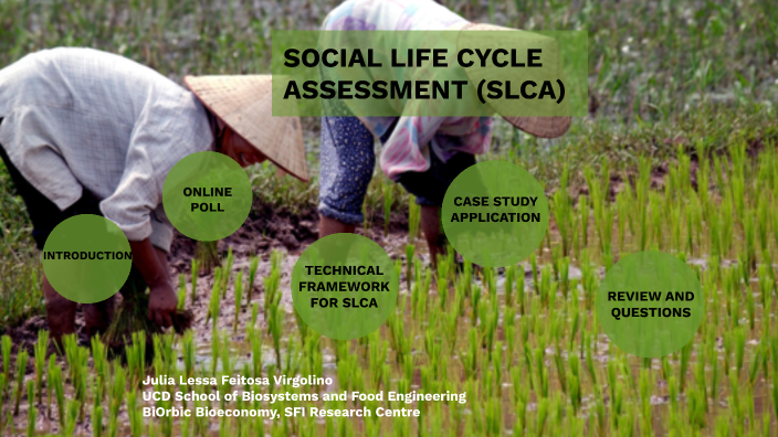 Social Life Cycle Assessment by Julia Virgolino on Prezi