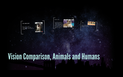 Vision Comparison, Animals and Humans by Alex K on Prezi