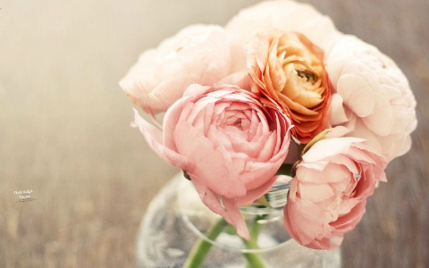 Uncle Sully's Flower Shop by Anna Christensen on Prezi