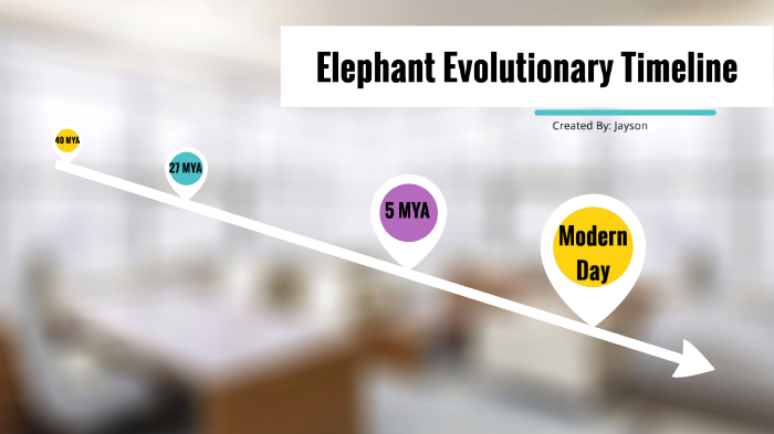 Elephant | Evolutionary Timeline by Jayson Evans on Prezi