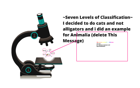 The Seven Levels of classification by Bobbetta Boberto on Prezi