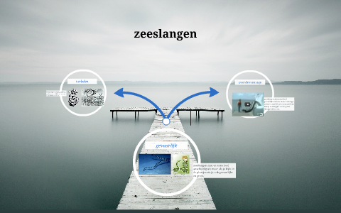 zeeslangen by Wouter Bollen on Prezi