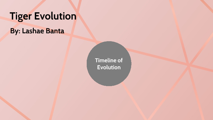 Tiger Evolution by lashae banta on Prezi