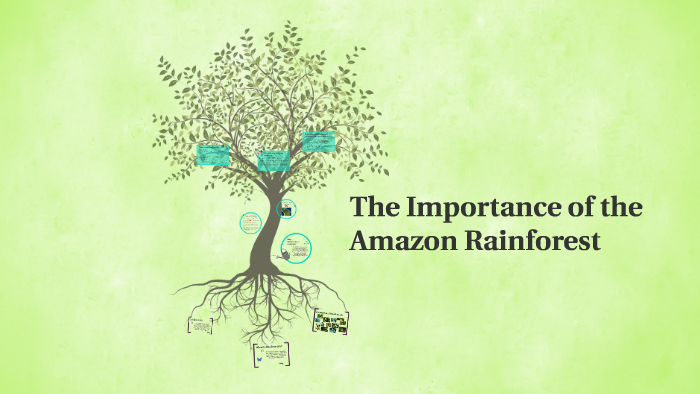 The Importance of the Amazon Rainforest by annie joyce on Prezi